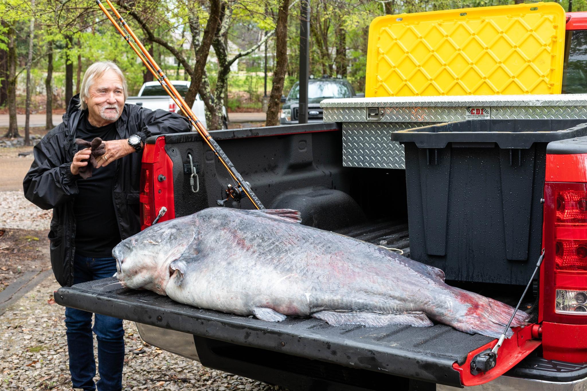 Man Spends 40 Minutes Catching Record-Breaking 131 Pound Fish