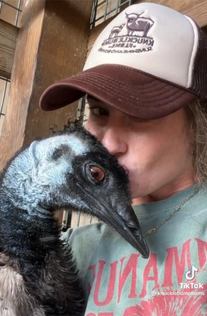 Emmanuel, The TikTok Famous Emu, Recovering From Avian Flu