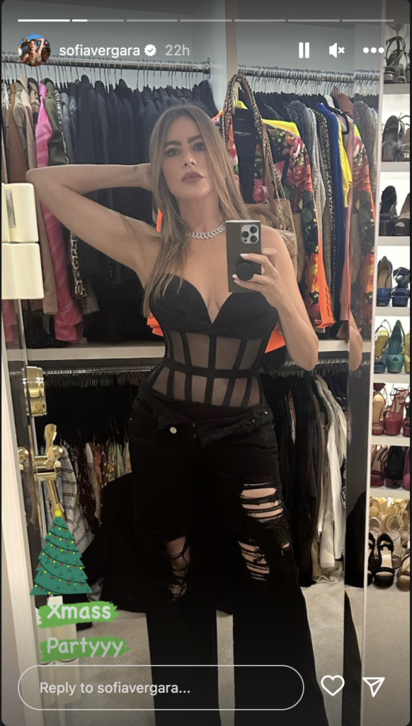 Sofia Vergara Stuns In Black Bodice Before Bikini Cleaning Session