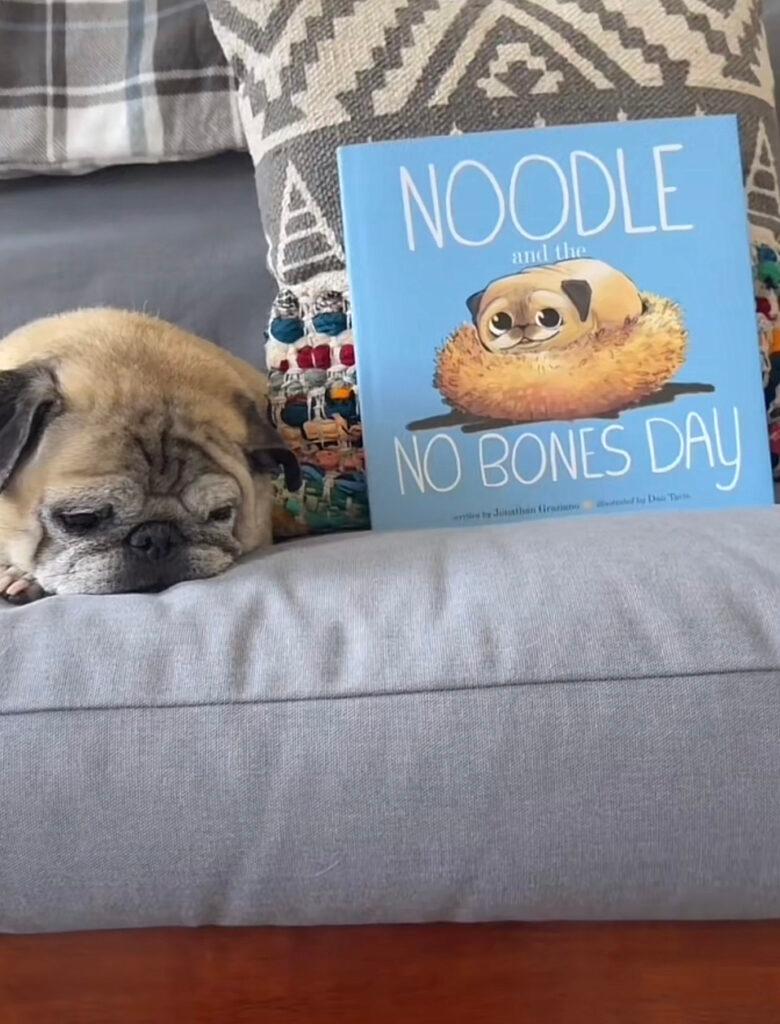 TikTok Star Noodle the Pug's Legacy Lives On With New Book