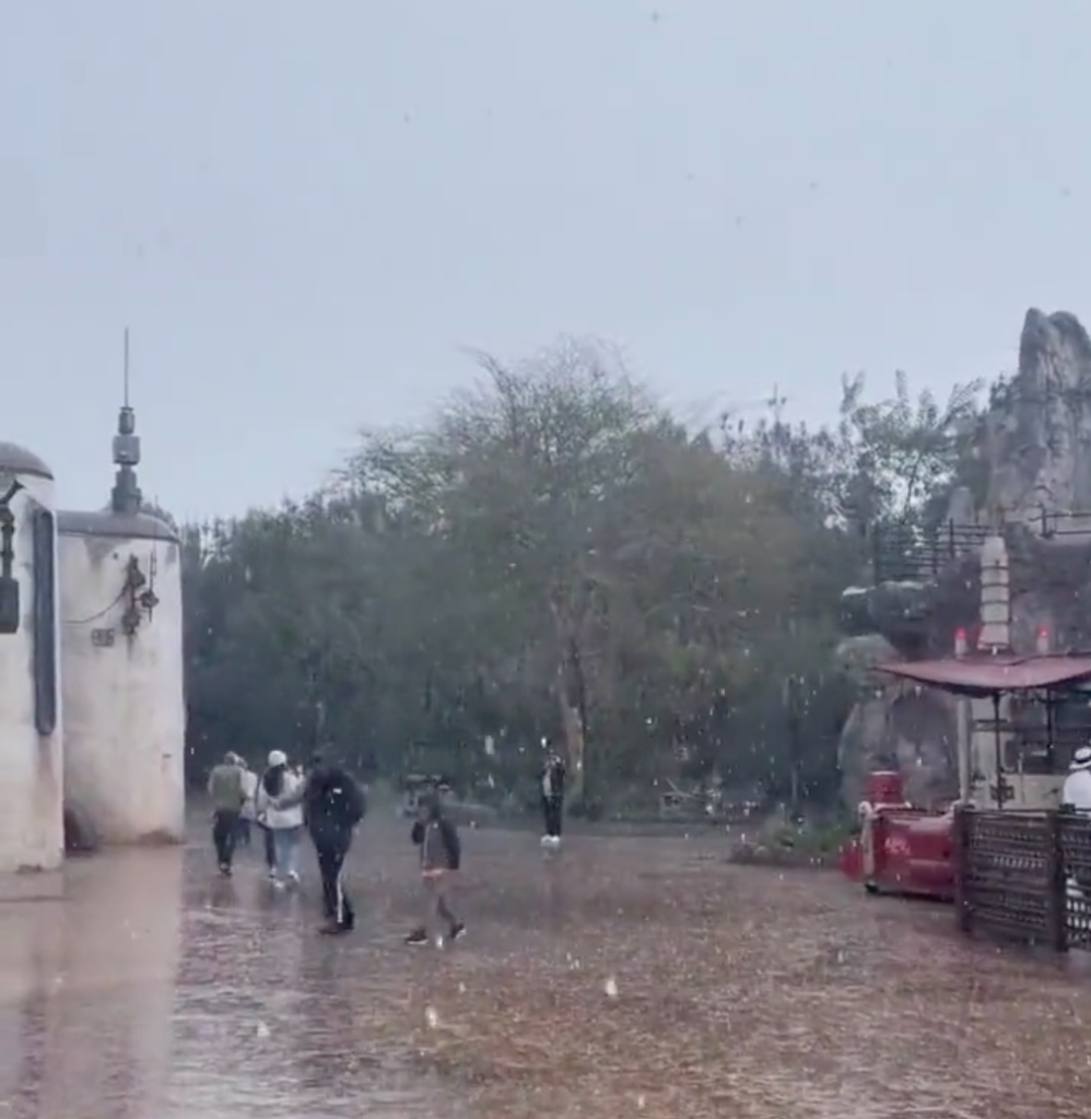 Guests At Disneyland Shocked As They Experience Real Snowfall