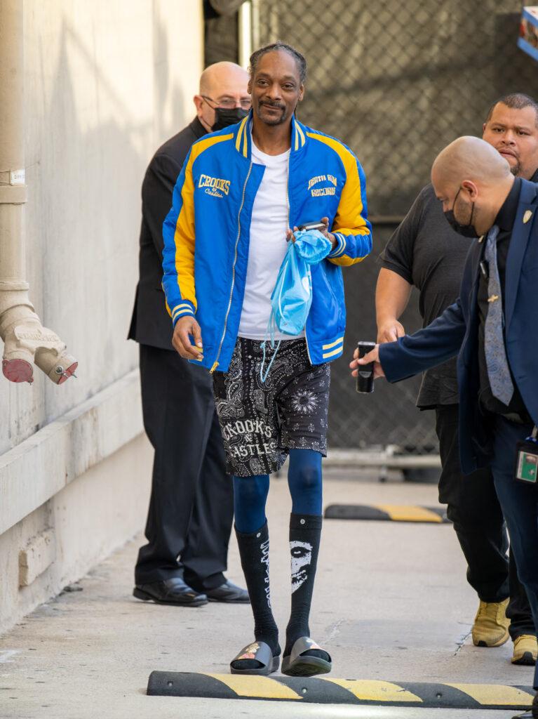 Snopp Dogg's New Frozen Treat Sending Fans On A 'Flava Trip'