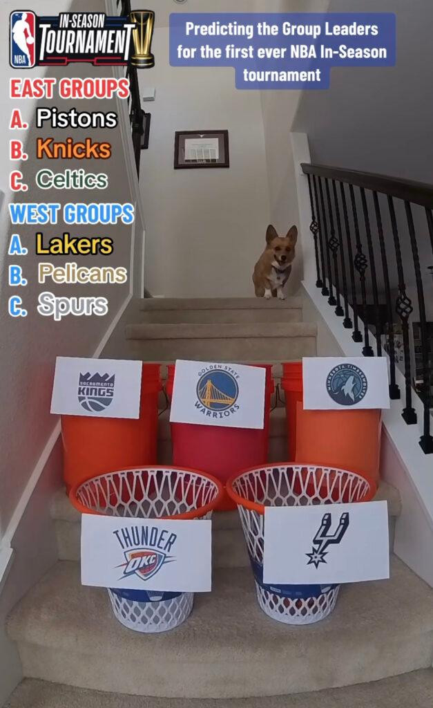 Lilo The Corgi Got Her First Paid Partnership With The NBA!