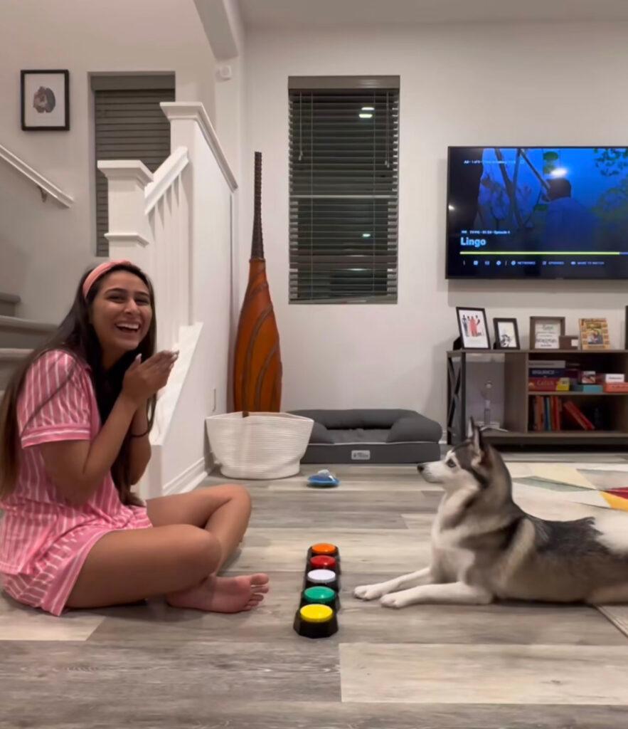 Barking Back at Curiosity: Sapphie the Pomsky Unleashes All In Fun Q&A