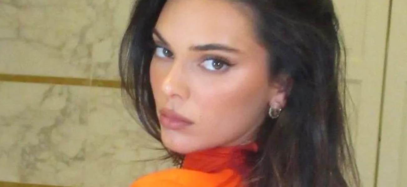 Kendall Jenner Frees The Nipple In Braless Crop Top