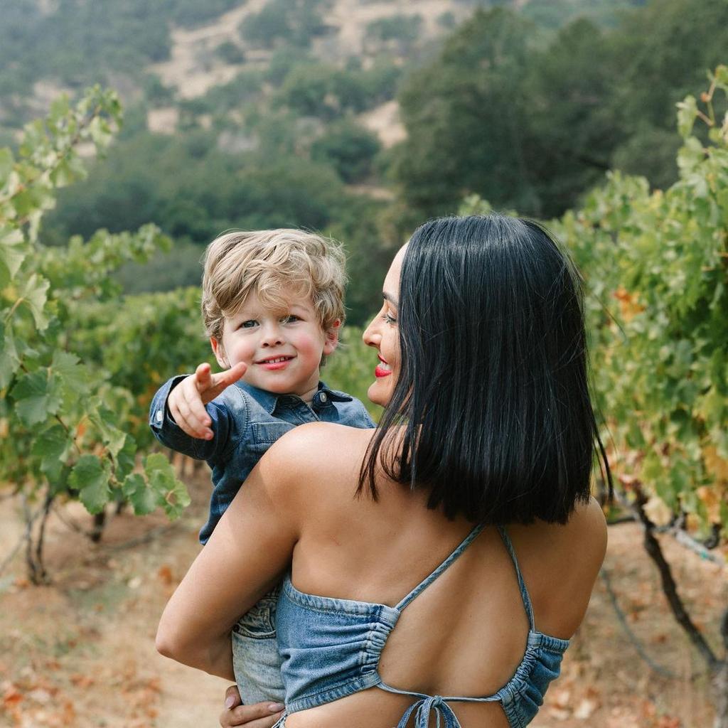 Nikki Bella Reveals Her 2-Year-Old Son Had To Go To The ER