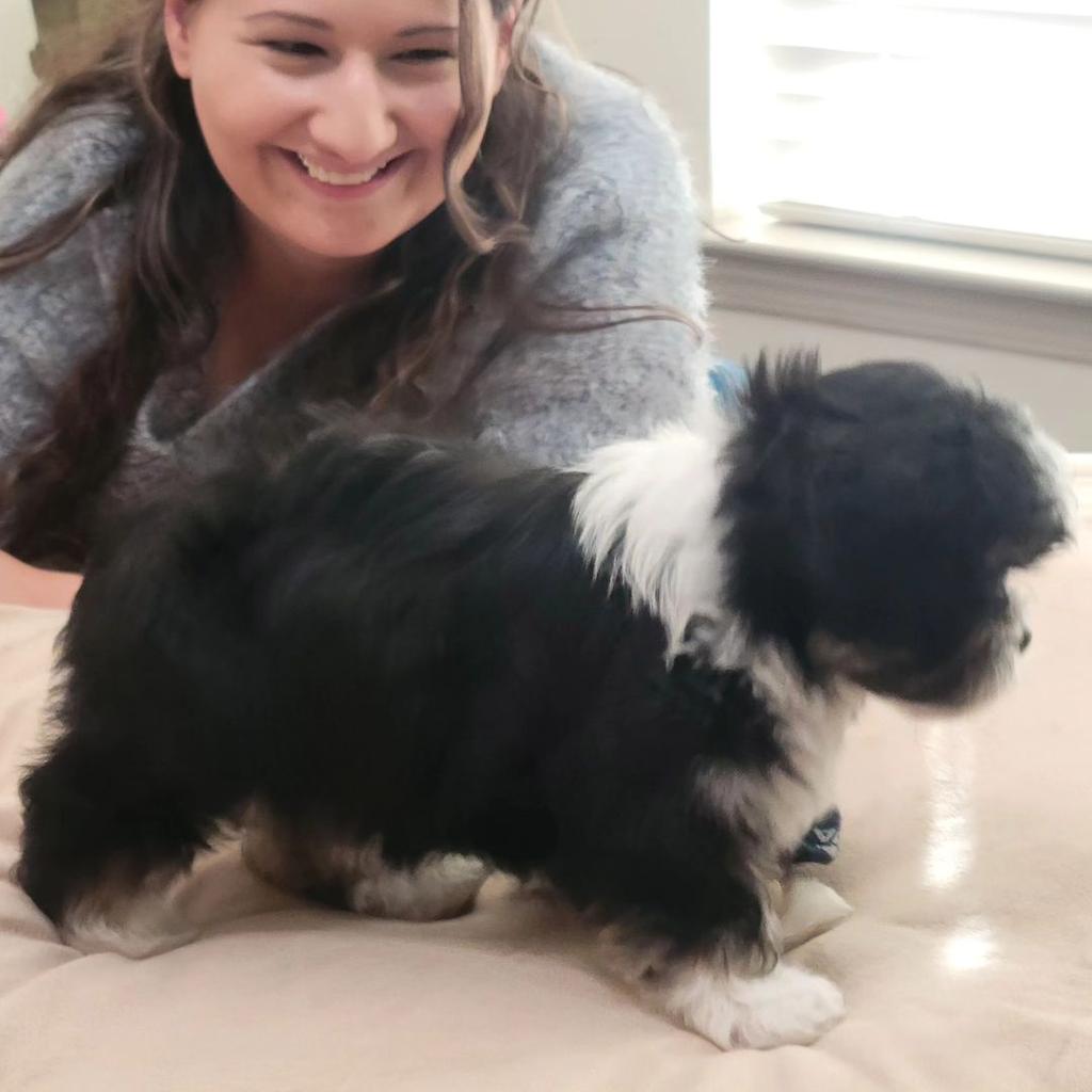 Gypsy Rose Blanchard Explains Meaning Behind Memoir Title