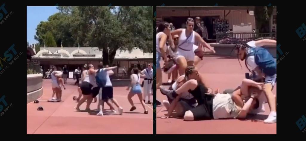 Brawl Breaks Out Between Guests At Walt Disney World