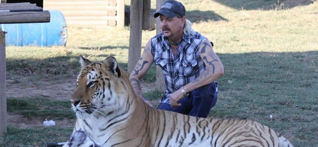 Dillon Passage Speaks Out Against Joe Exotic Amid Divorce Proceedings