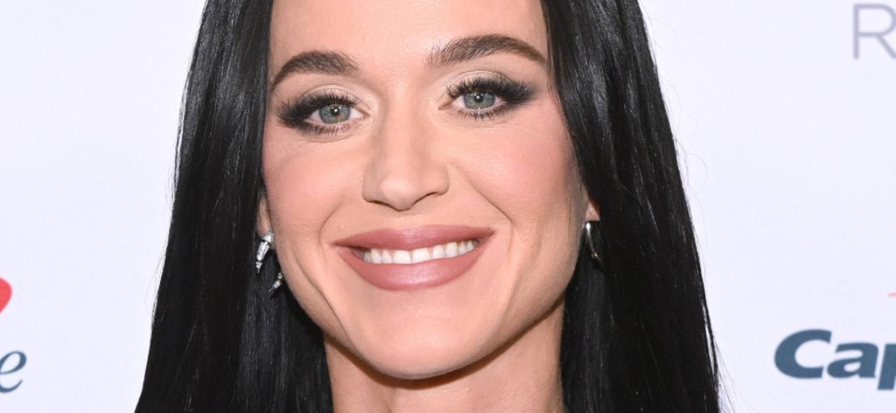Katy Perry Criticized For Sheer Dress Showing 'Everything'