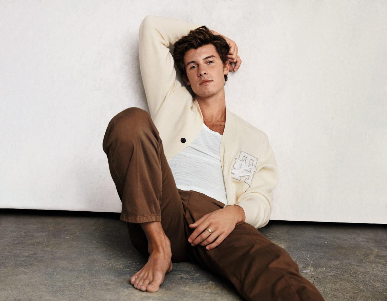 Shawn Mendes Was Dumped By Camila Cabello After Short Fling