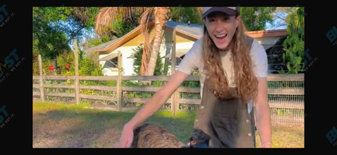 TikTok Famous Emmanuel The Emu Is Walking Again After Two Month Illness