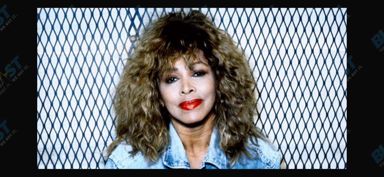 Tina Turner Had Fears Of Son Ronnie Being Abusive Like His Dad