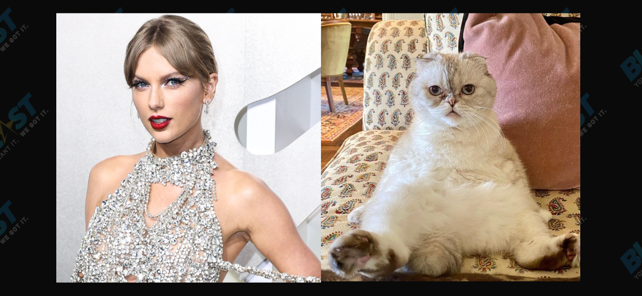 Taylor Swift's Cat Olivia Benson Is Worth THIS Incredible Amount