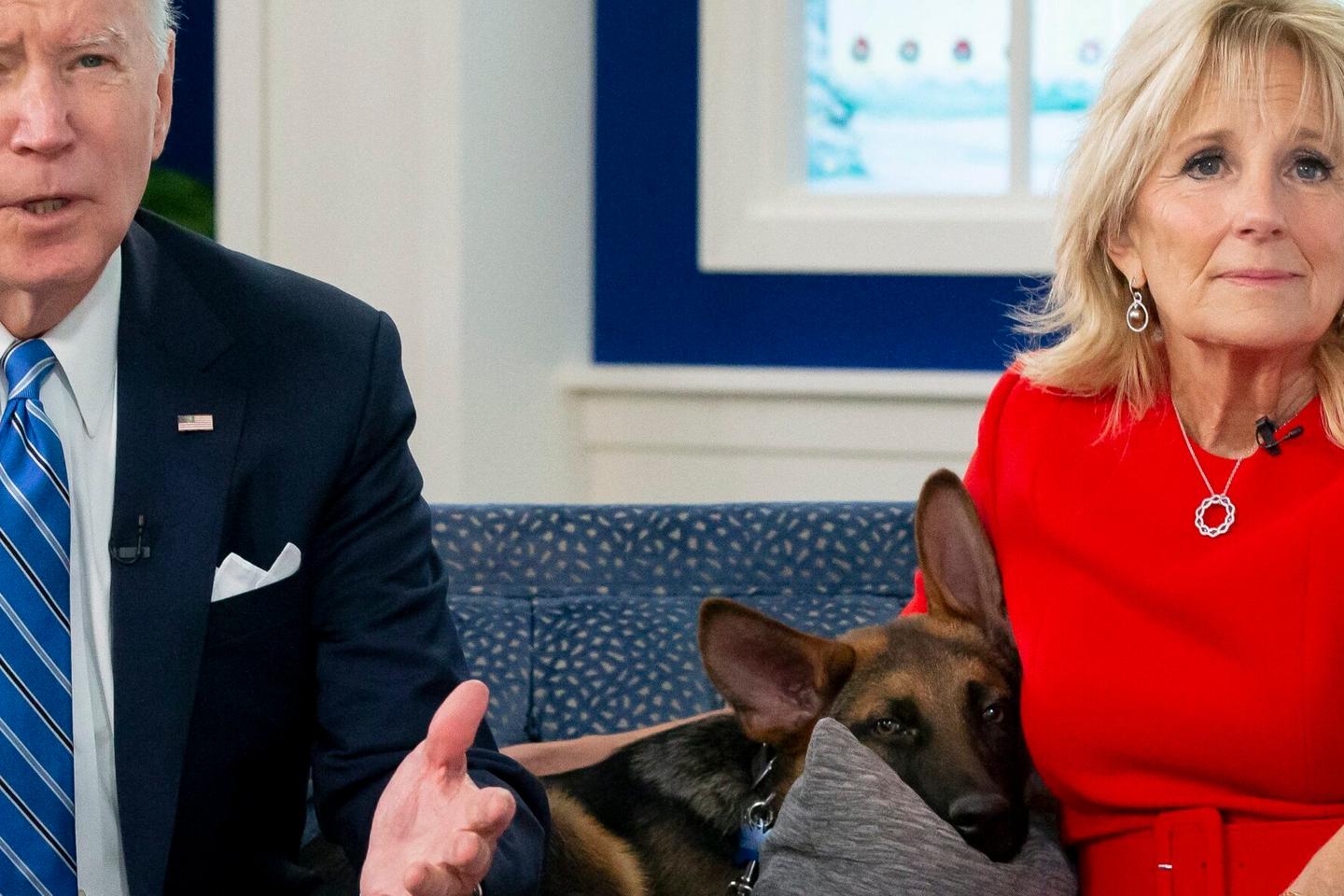 Joe Biden’s Dog Commander REMOVED From White House