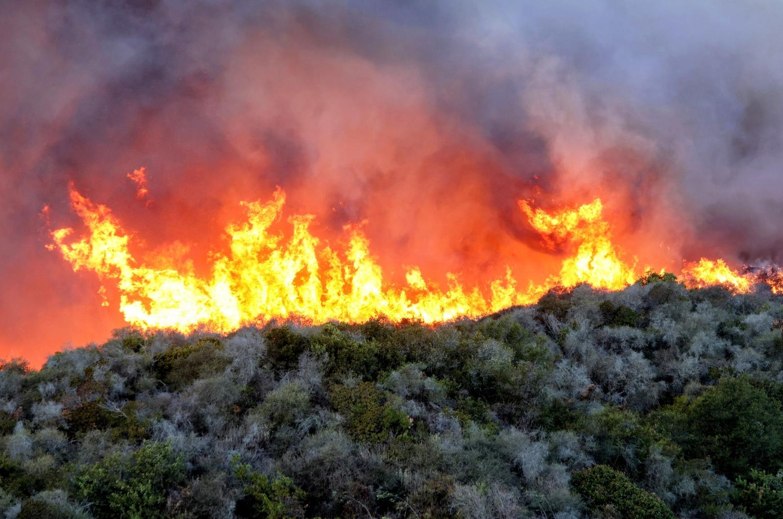Anna Faris’ $5M Estate Falls Victim To California’s Raging Wildfires Anna Faris’ $5M Estate Falls Victim To California’s Raging Wildfires