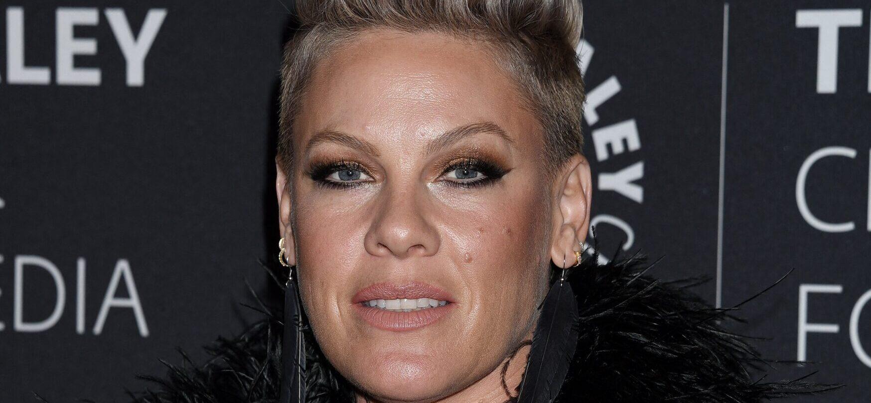 Pink Returns To The Stage After Canceling Show Last Minute