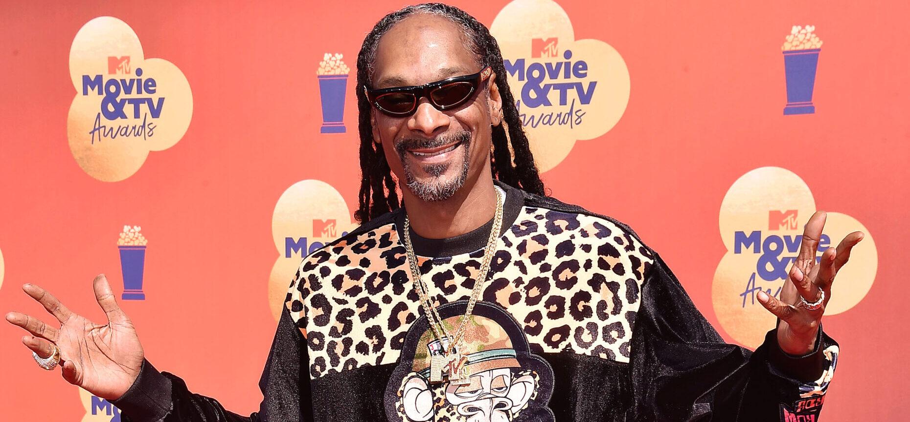 Snopp Dogg's New Frozen Treat Sending Fans On A 'Flava Trip'