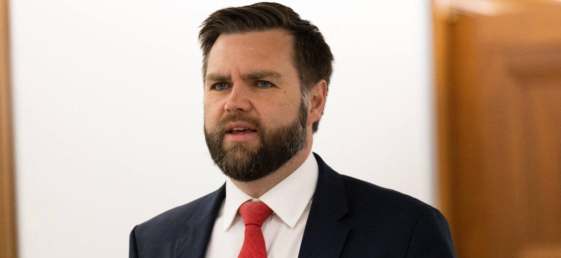 Celebrities Call Out J.D. Vance For His 'Childless Cat Lady' Comment