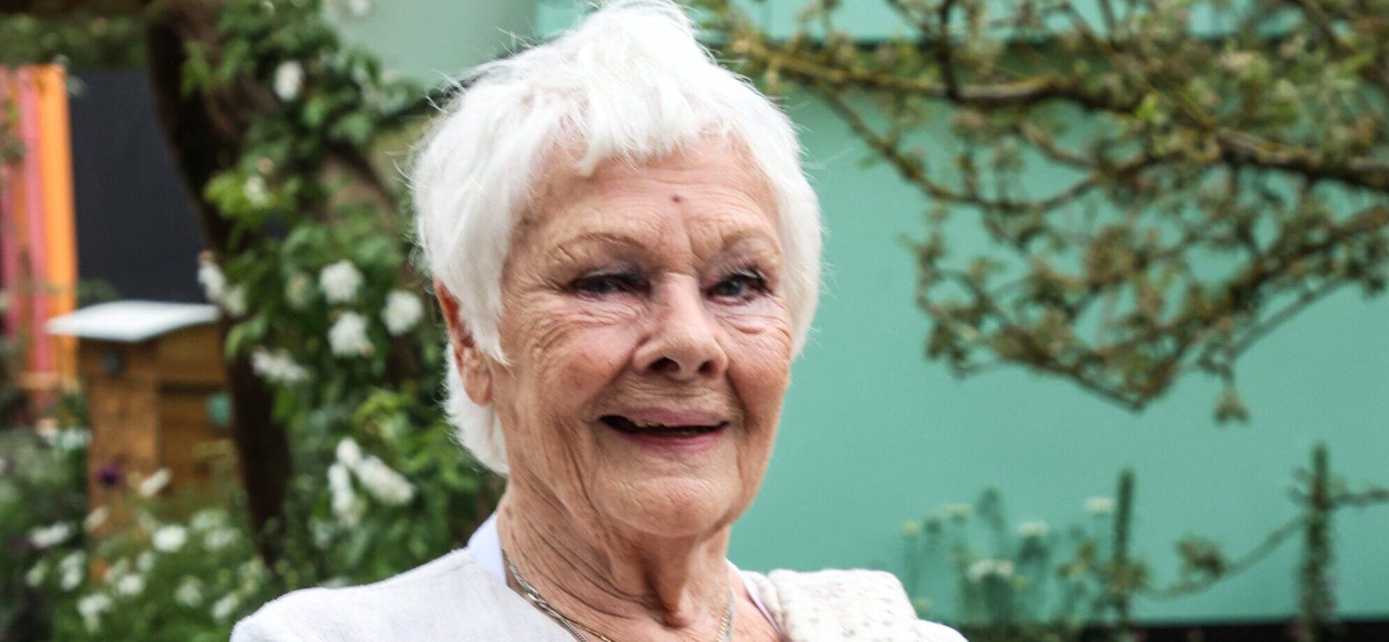 88-Year-Old Judi Dench's Unintentional 'Birthday Suit' Video Chat Surprise!