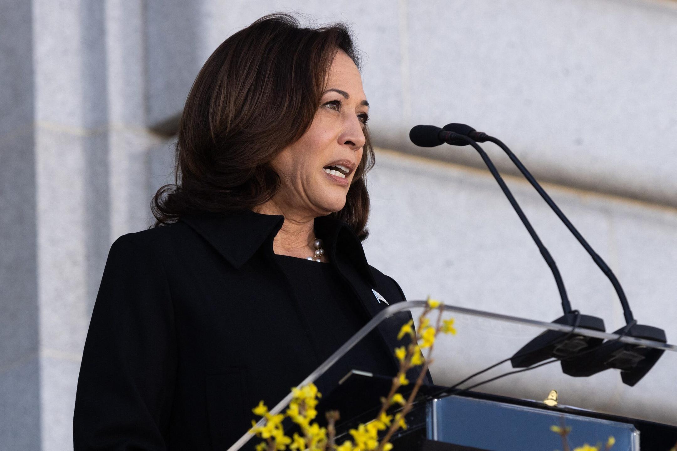 Kamala Harris Trolled After Unknowingly Applauding Protest Song ...
