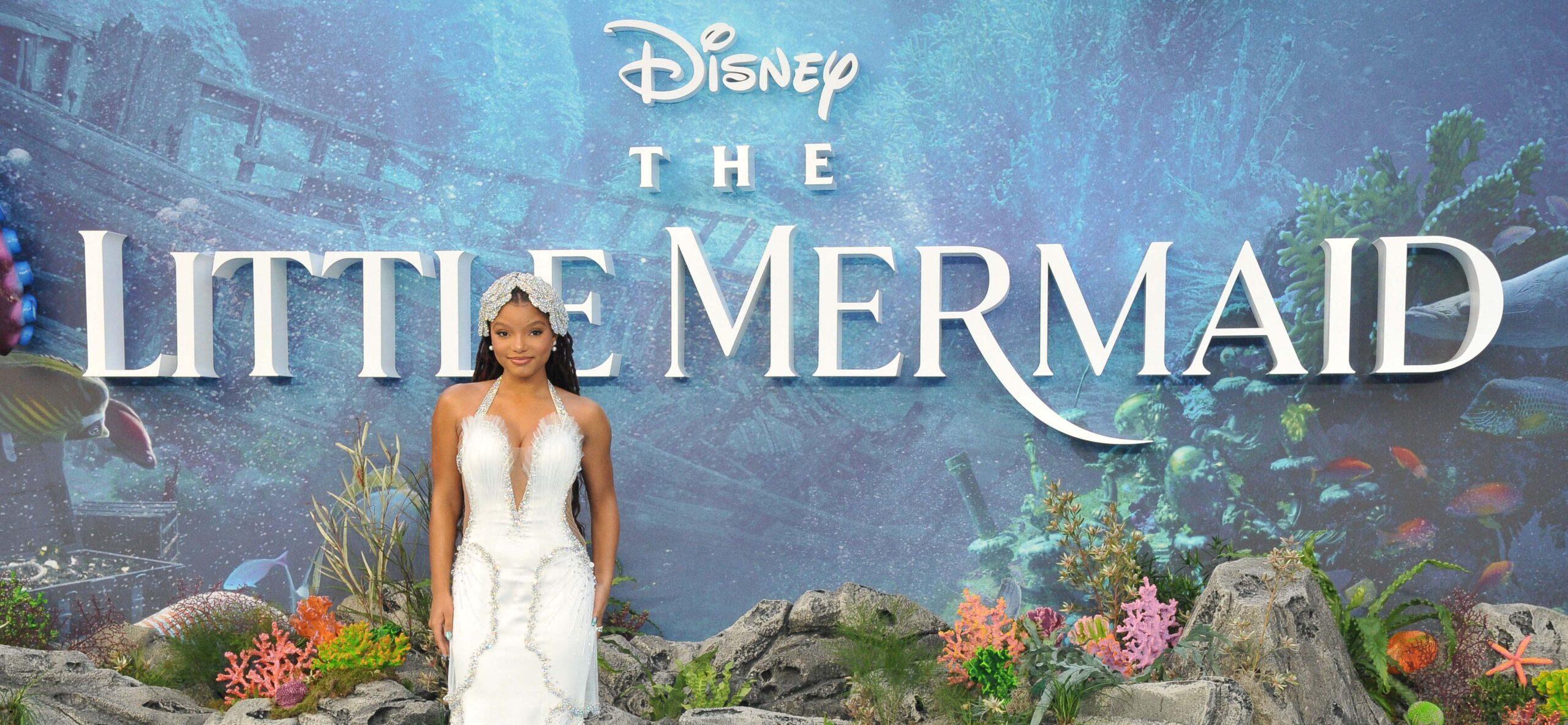 Video: Fight Breaks Out During Screening Of 'The Little Mermaid'