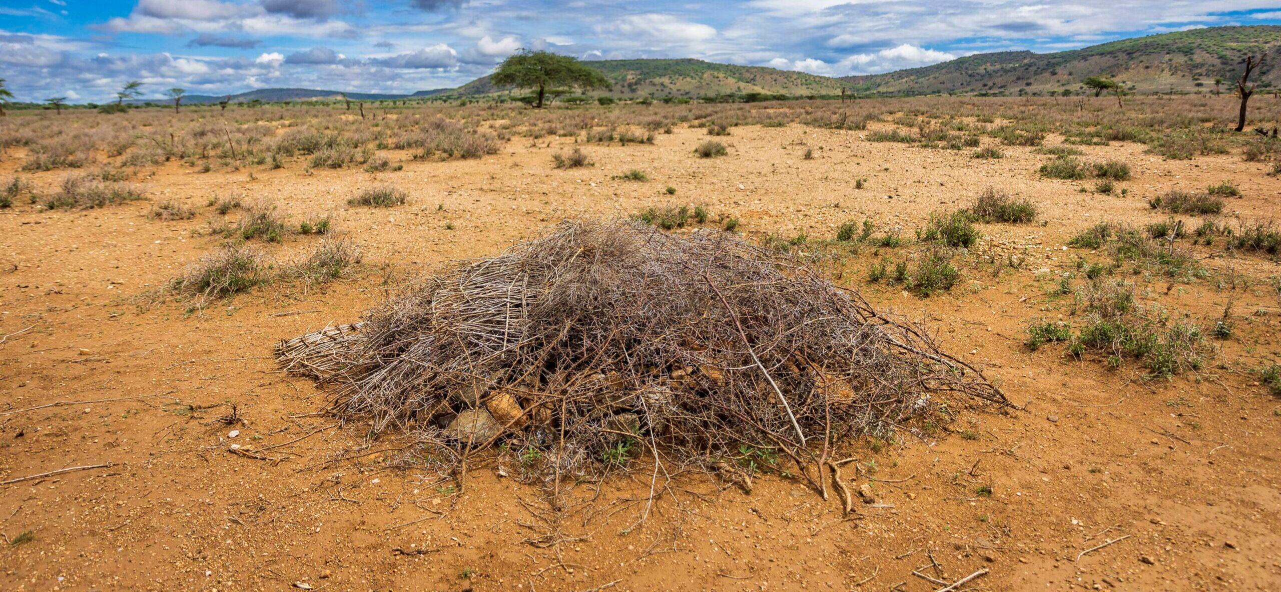 Cult Leader Told Followers 'To Starve Themselves' Leaving Over 400 Dead!