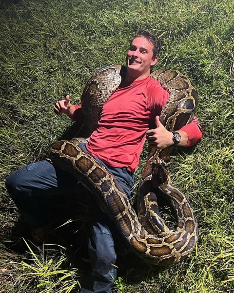 Massive Pile Of Invasive Burmese Pythons Found Mating In Florida