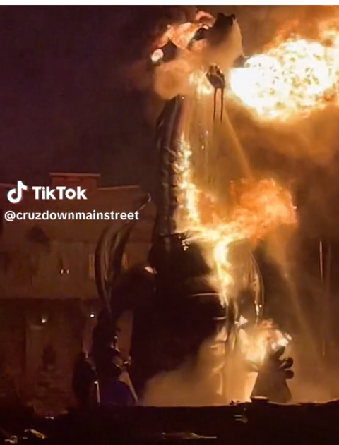 Maleficent Dragon Goes Up In Flames During Disneyland Show