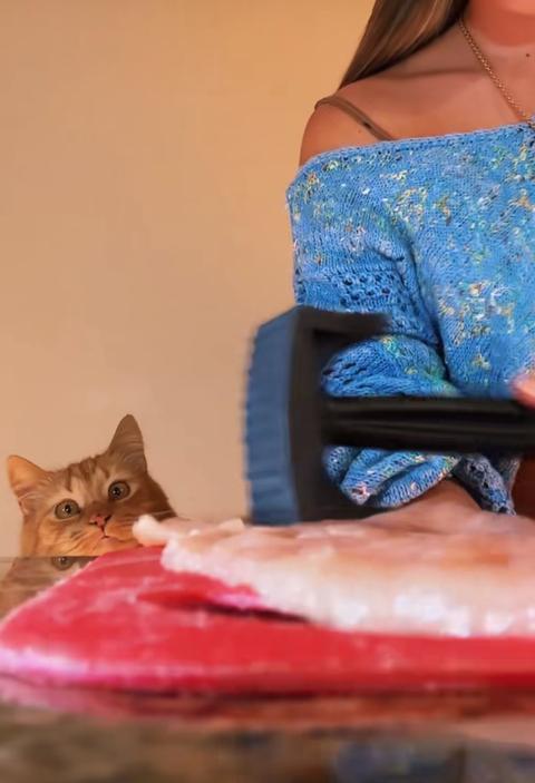 Let's Make Chicken Cutlets With Jersey's Own Julia Molinari!