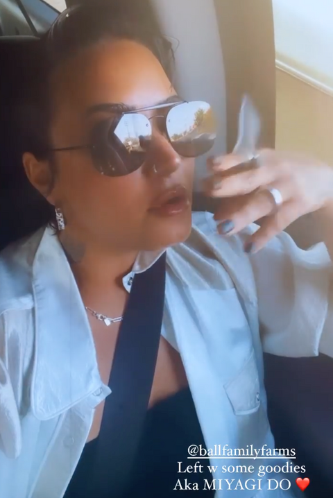 Demi Lovato Shares Video Of Herself Smoking Weed, I'm California Sober!