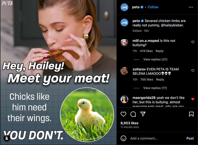 Fans Slam PETA For Targeting Hailey Bieber's Cooking Show
