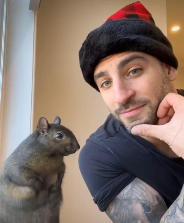 Internet Star Peanut The Squirrel Seized And Euthanized