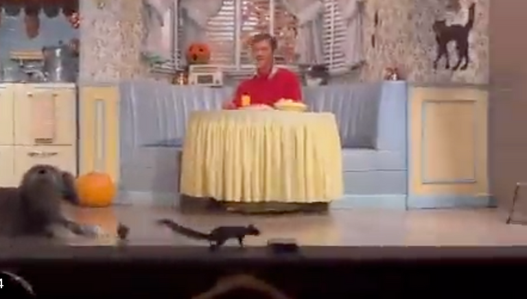 Squirrel "Breaks Into" Disney World Ride! See The Video