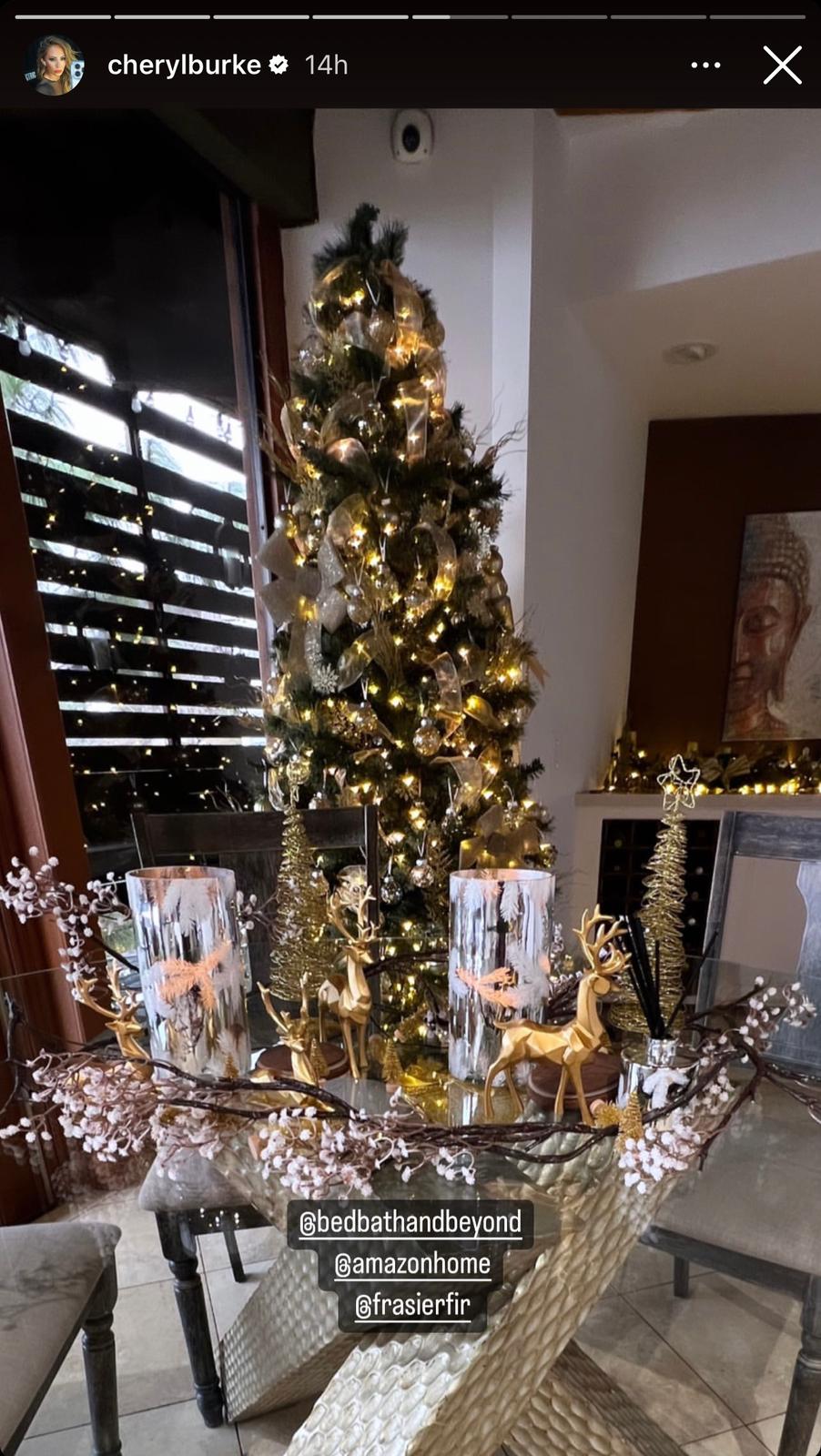 Cheryl Burke Spreads Christmas Spirit With Eye-Catching Decor
