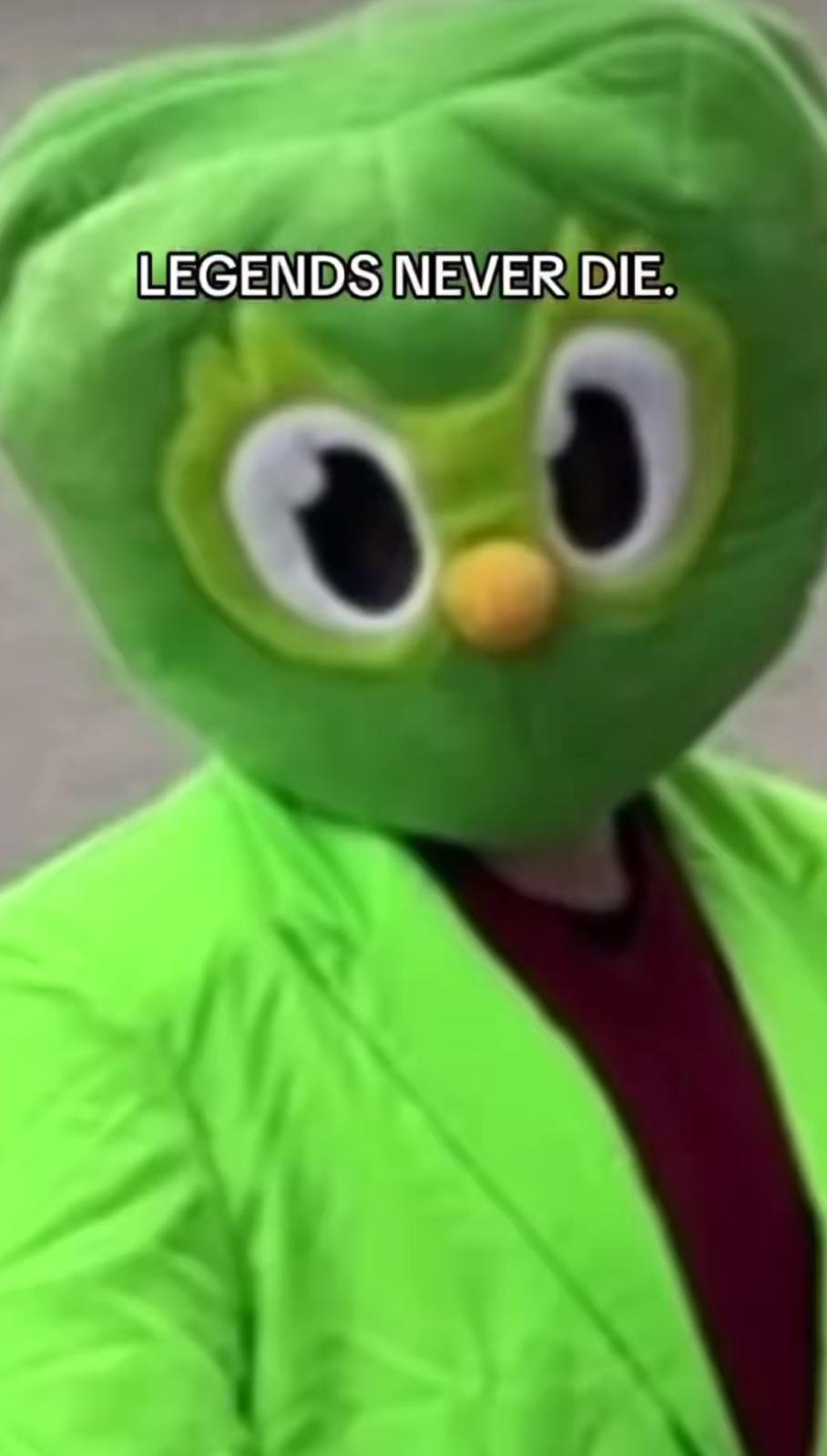 TikTok Responds To Duolingo Owl Coming Back From The Dead