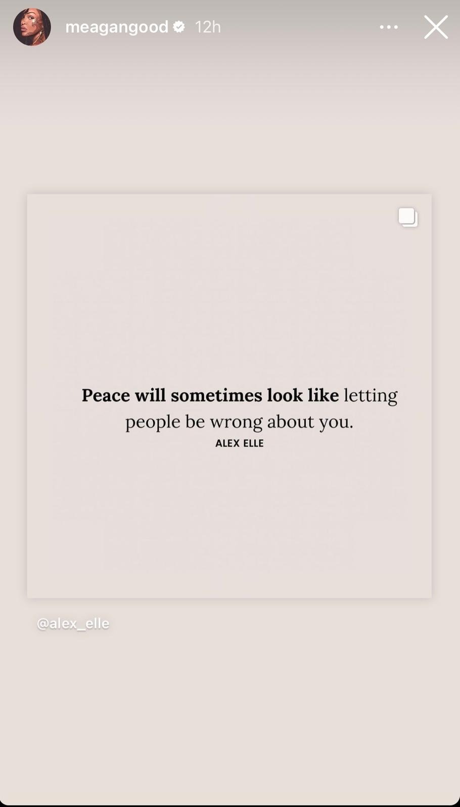 Meagan Good Drops Message About 'Peace' After Court Appearance