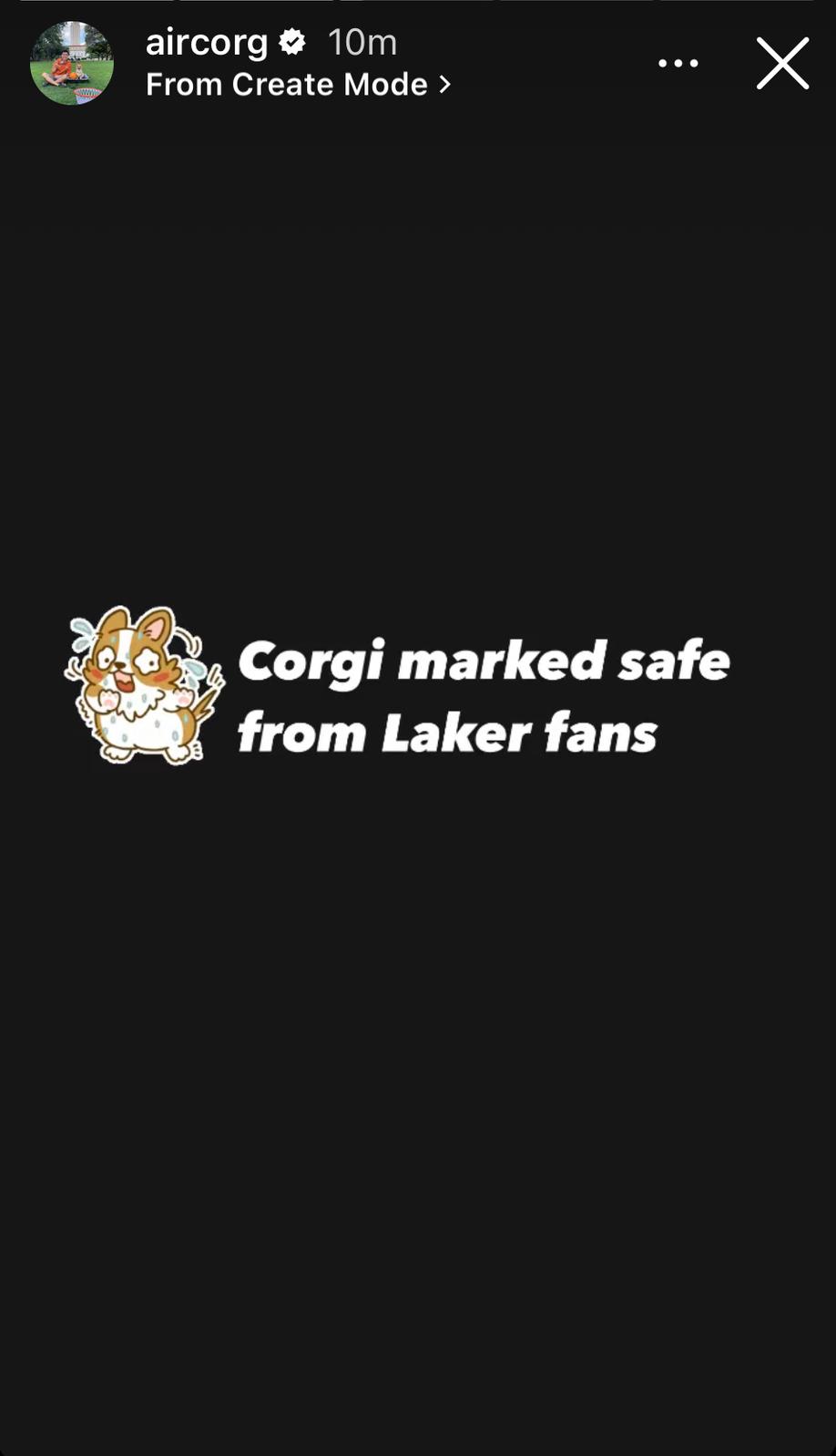 The Lakers Ended Lilo The Viral TikTok Corgi's Winning Streak!