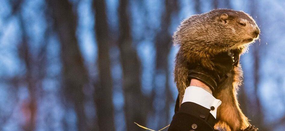 Groundhog Day: Did Punxsutawney Phil & Others See Their Shadow?