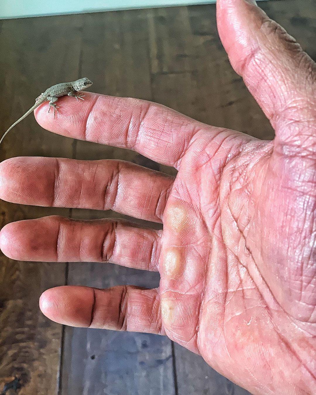 The Internet Is Obsessed With The Rock's Crazy Looking Hands - The Blast