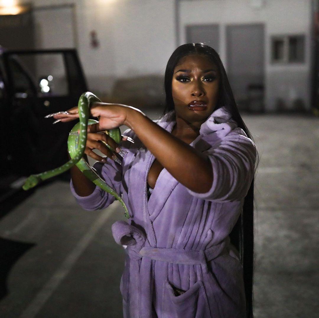 Megan Thee Stallion Reveals 'WAP' Was Filmed With LIVE SNAKES!! - See ...
