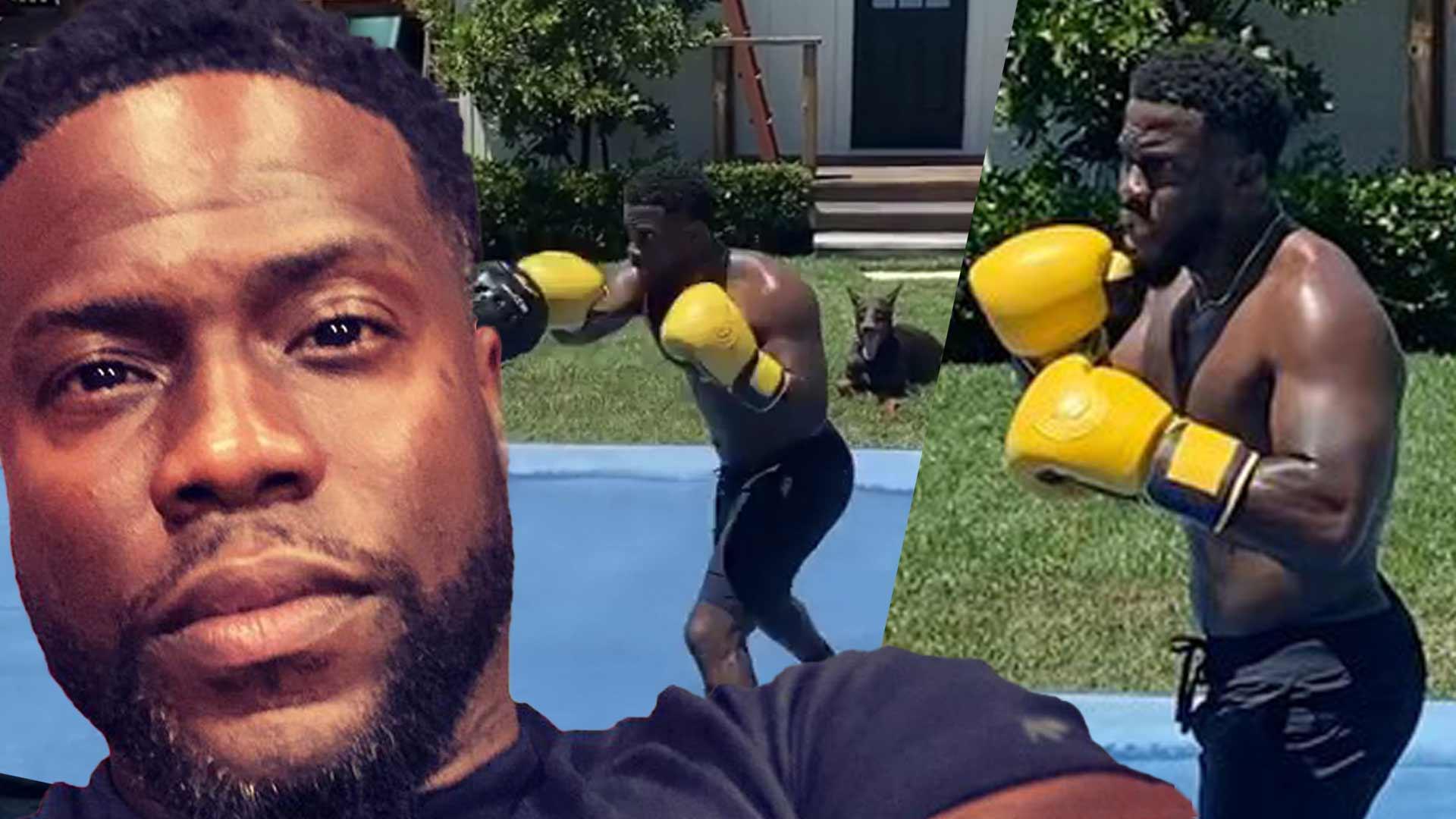 Kevin Hart Shows Off Impressive Boxing Skills And Chiseled Arms During ...
